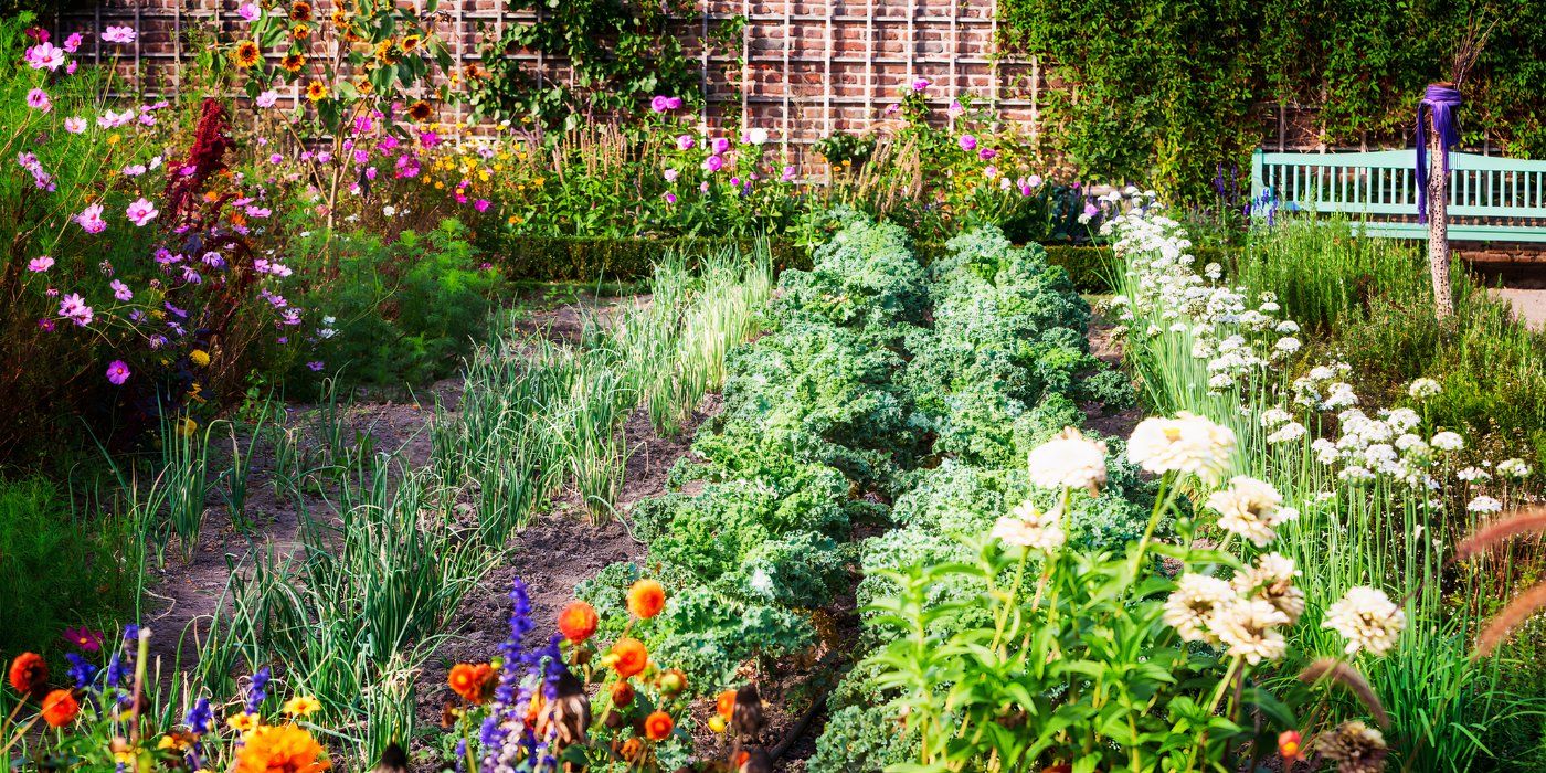 Garden Basics: Planting Your First Seeds