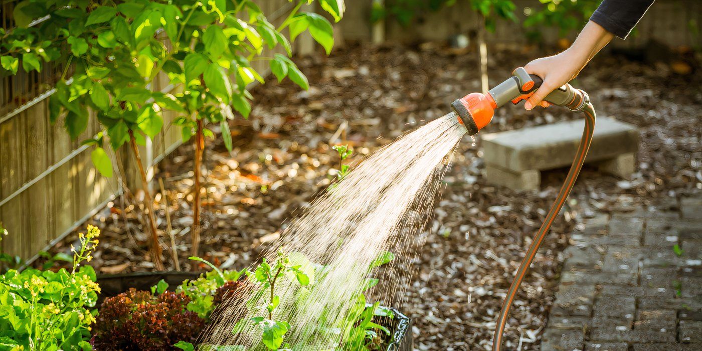 Top 5 Gardening Mistakes You Didn't Know You Were Making