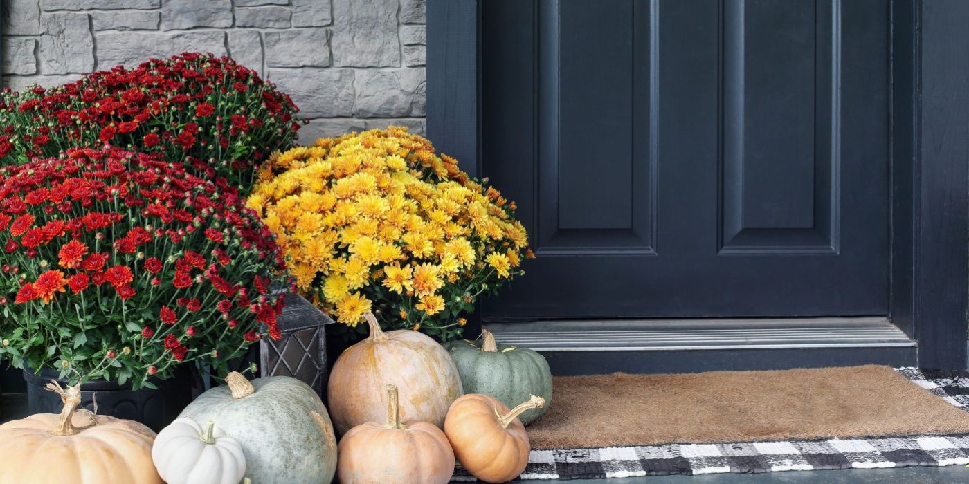 5 Houseplants That Change Their Fall Foliage Colors