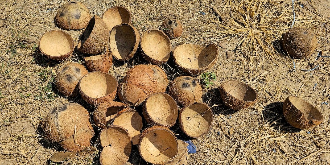 7 Sustainable Fuels for Eco-Friendly BBQ Grilling