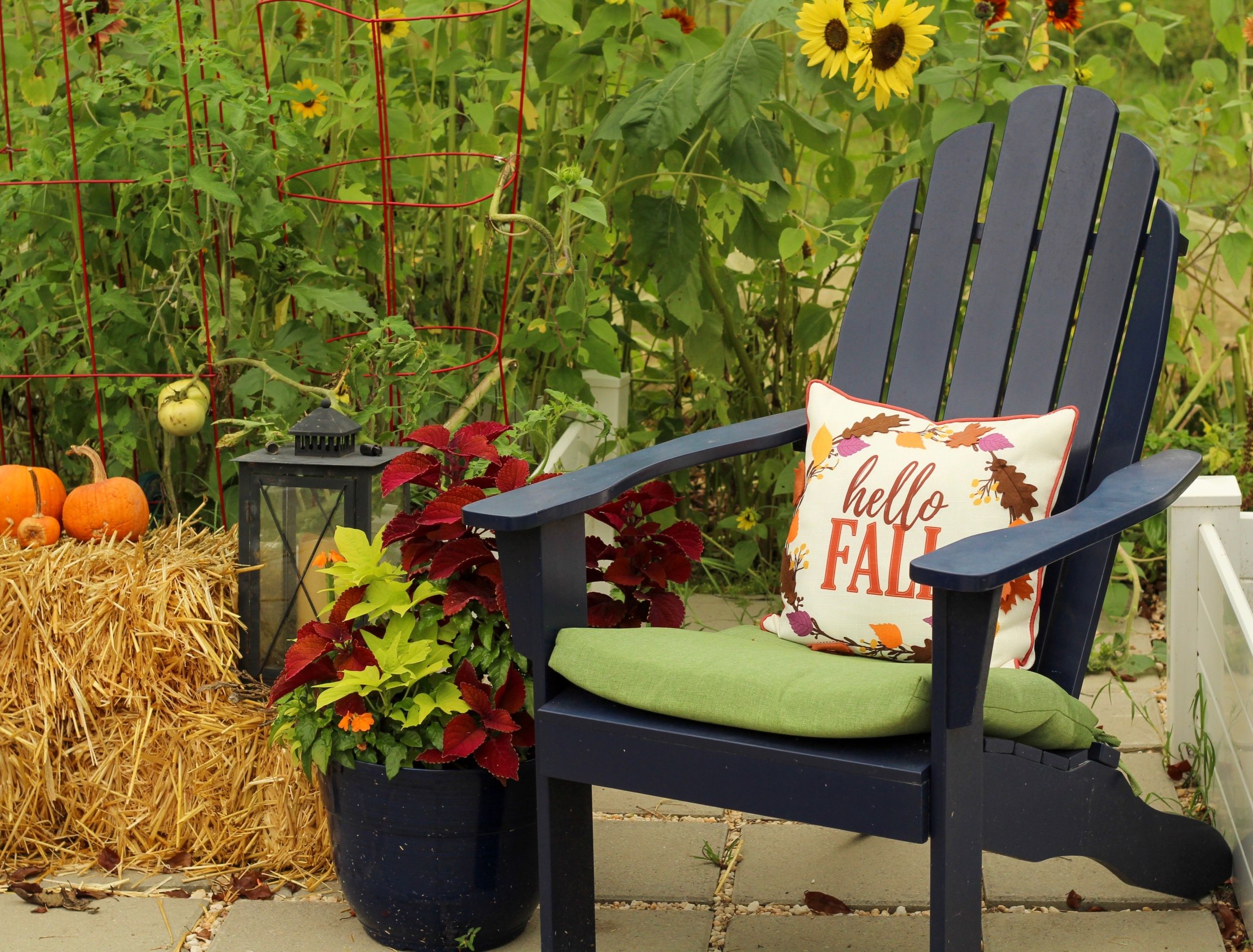 5 Cozy Backyard Design Ideas for Fall