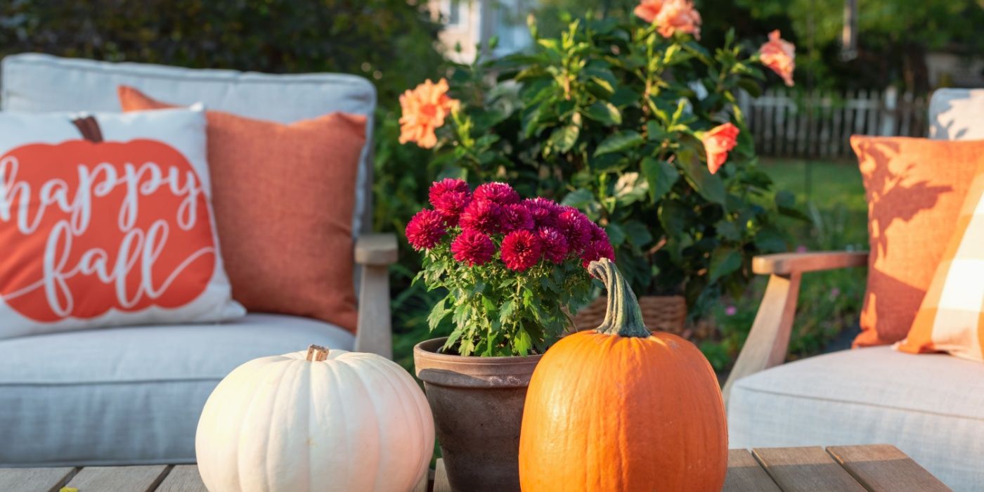 5 Cozy Backyard Design Ideas for Fall