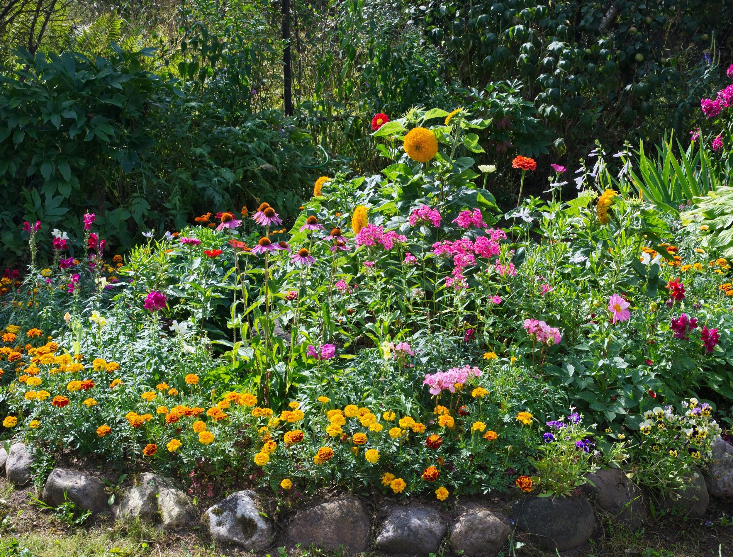Fabulous Flower Beds