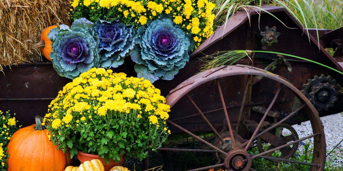 Use Decorative Gourds to Create Stunning Fall Decor