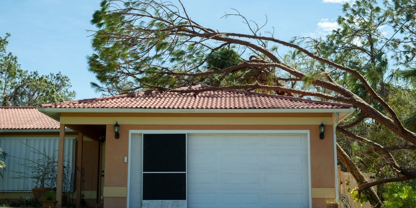 Landscaping Ideas to Protect Your Home: Best Practices for Plant Spacing