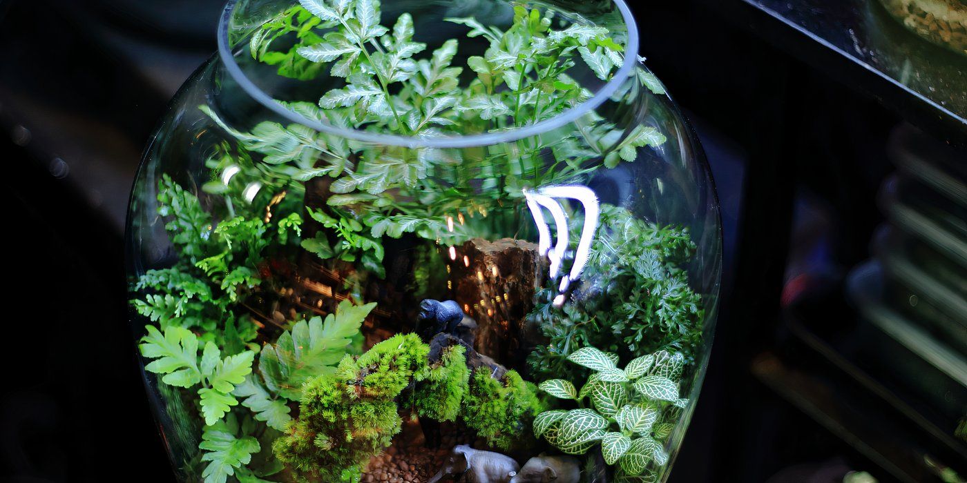 Create a DIY Terrarium With Inspiration From 5 Glass Terrariums