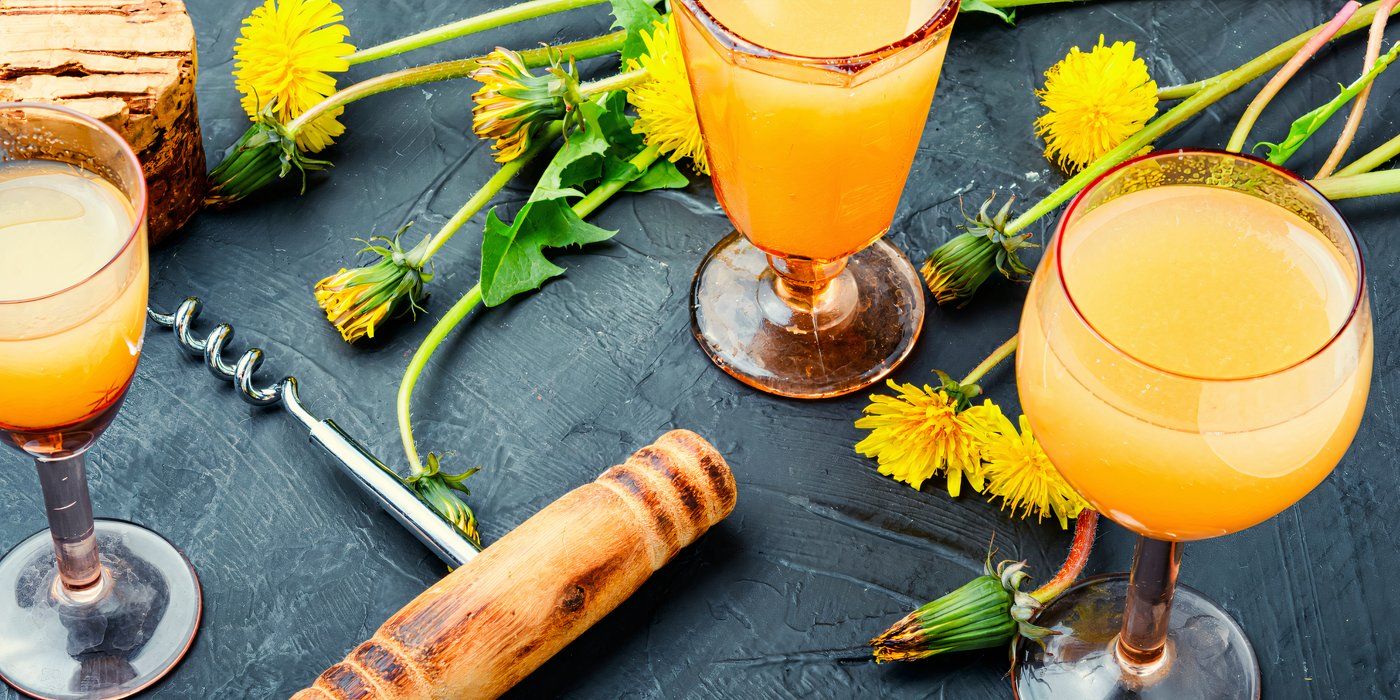 Dandelion Wine: Use Dandelions to Form the Base of a Unique Wine