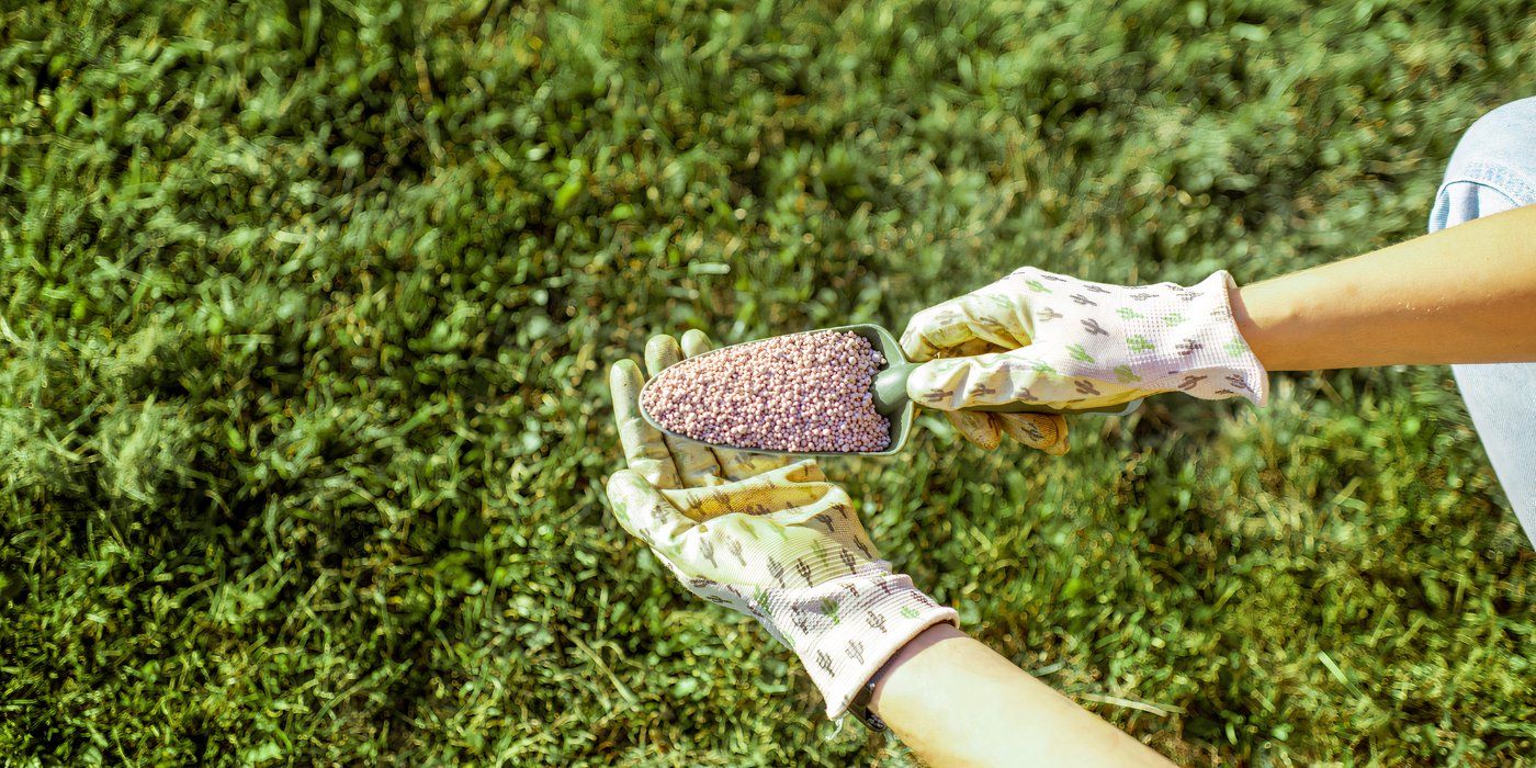 How To Smooth Your Lawn: Actionable Steps To Improve Your Lawn's Health