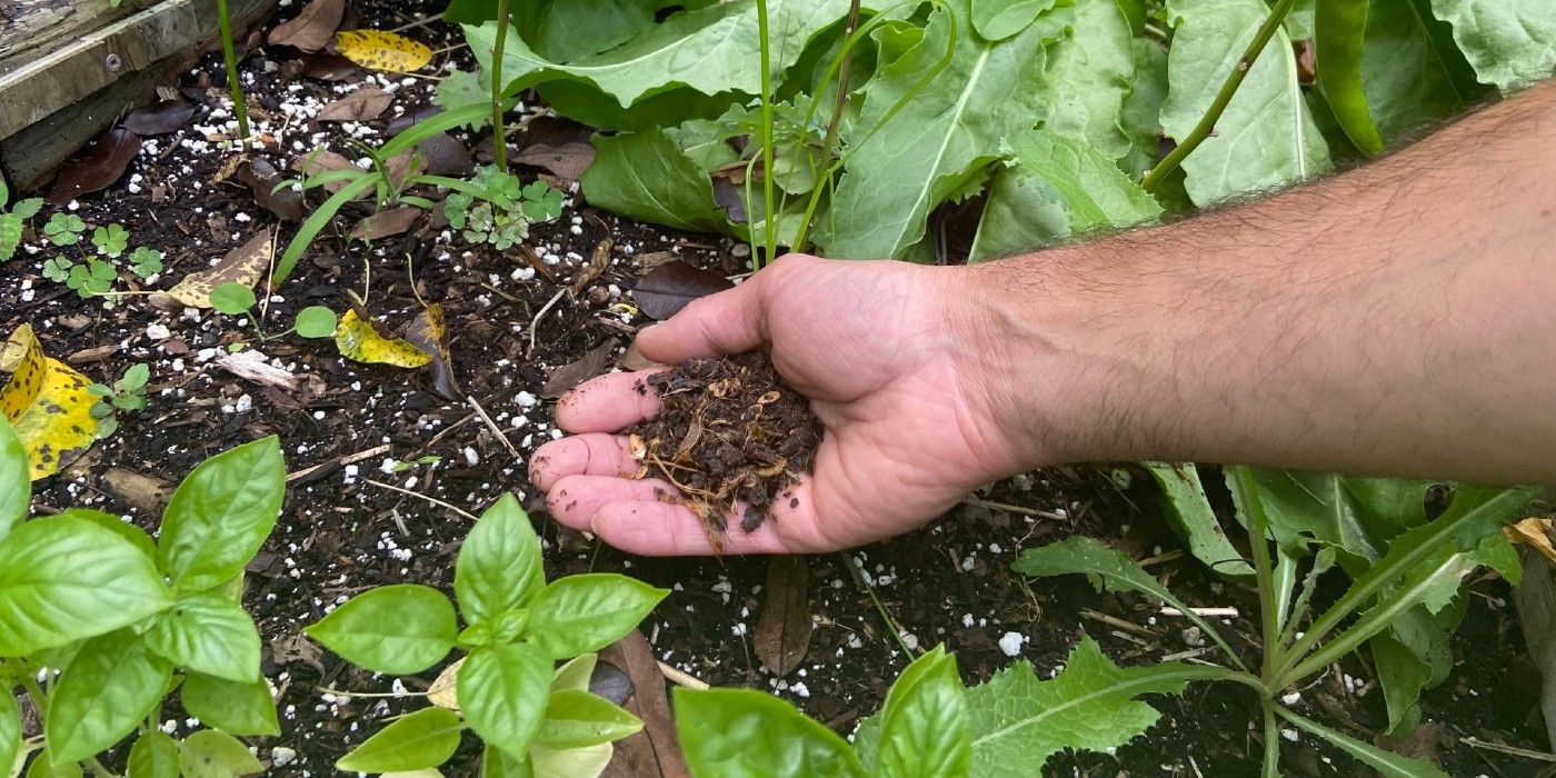 Garden Trends: The Counter Composter