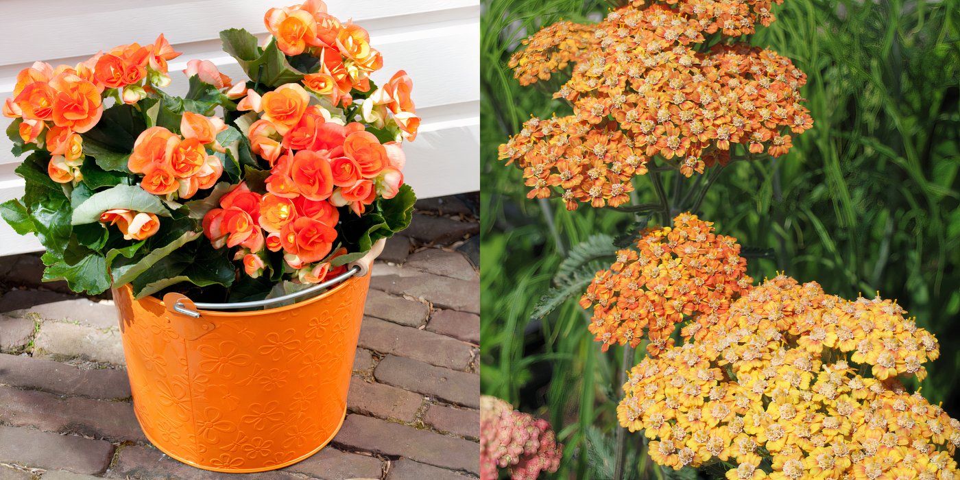 Terra Cotta Colors: 5 Ways to Embrace Terracotta Orange in Your Decor