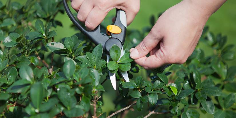 Transform Your Backyard With Imperfect Gardening Techniques