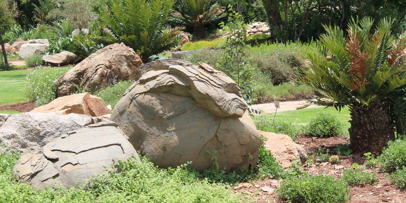 Southwest Landscaping: Use 5 Elements To Create a Rustic, Welcoming Garden