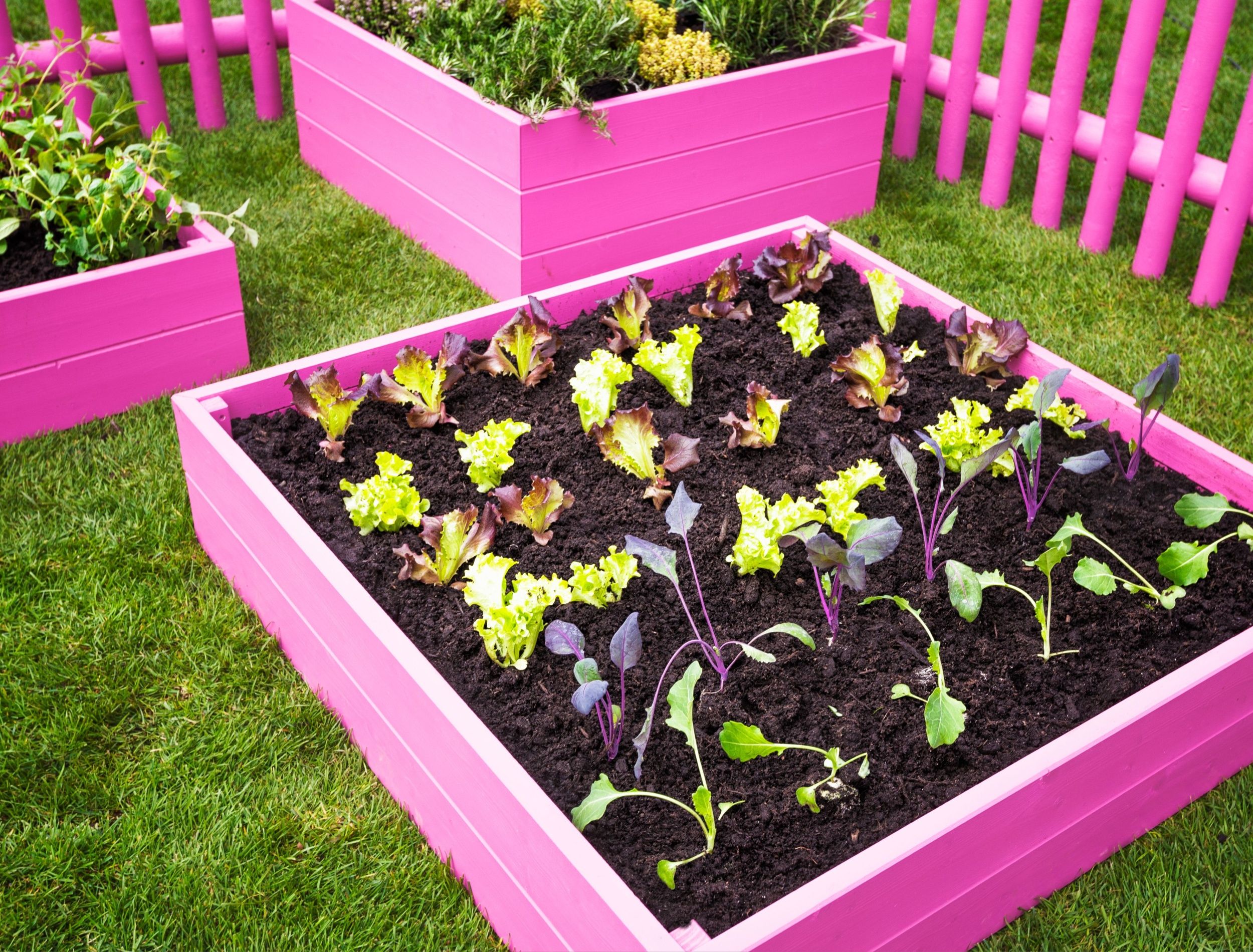 How to Revive Plants From Cold Damage