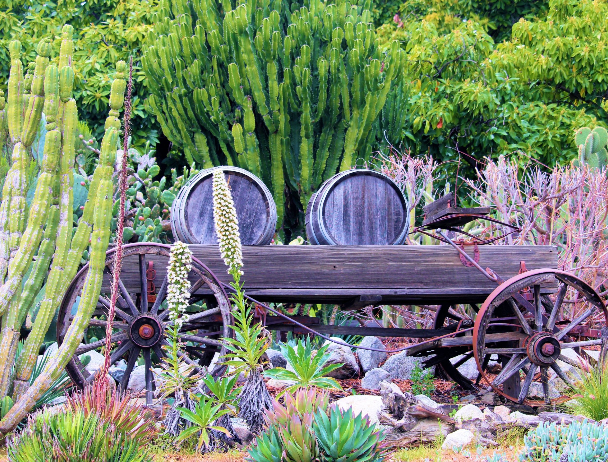 Southwest Landscaping: Use 5 Elements To Create a Rustic, Welcoming Garden