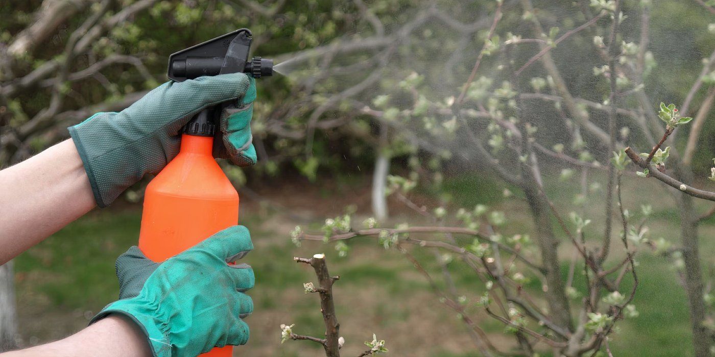7 Proven Tips to Guard Your Shrubs in Fall