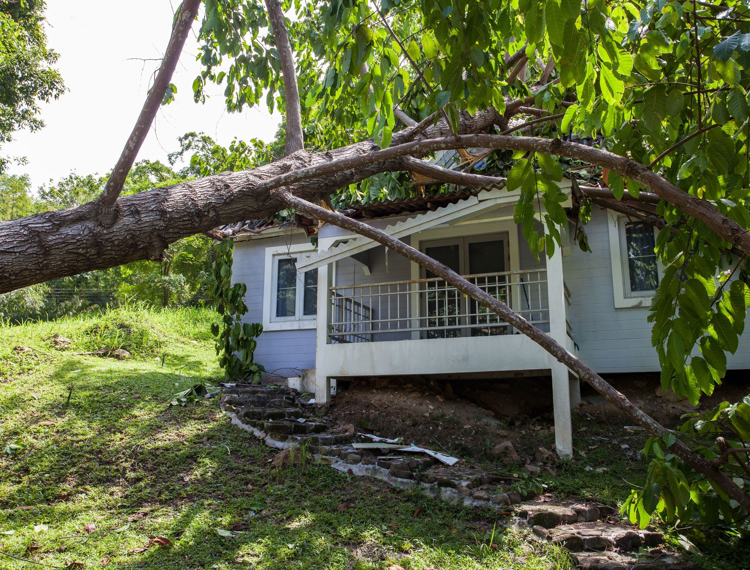 Backyard | BackyardBoss