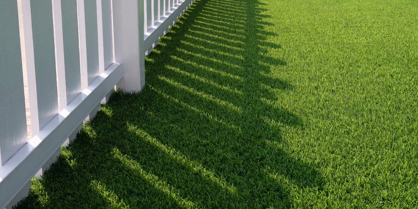 5 Pet Friendly Lawn Alternatives for a Greener, Safer Yard