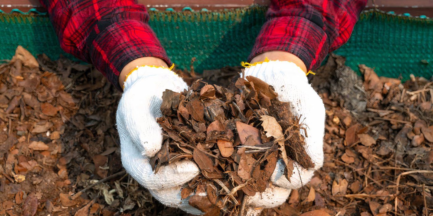 From Yard Waste to Rich Soil: A Beginner's Guide to Composting