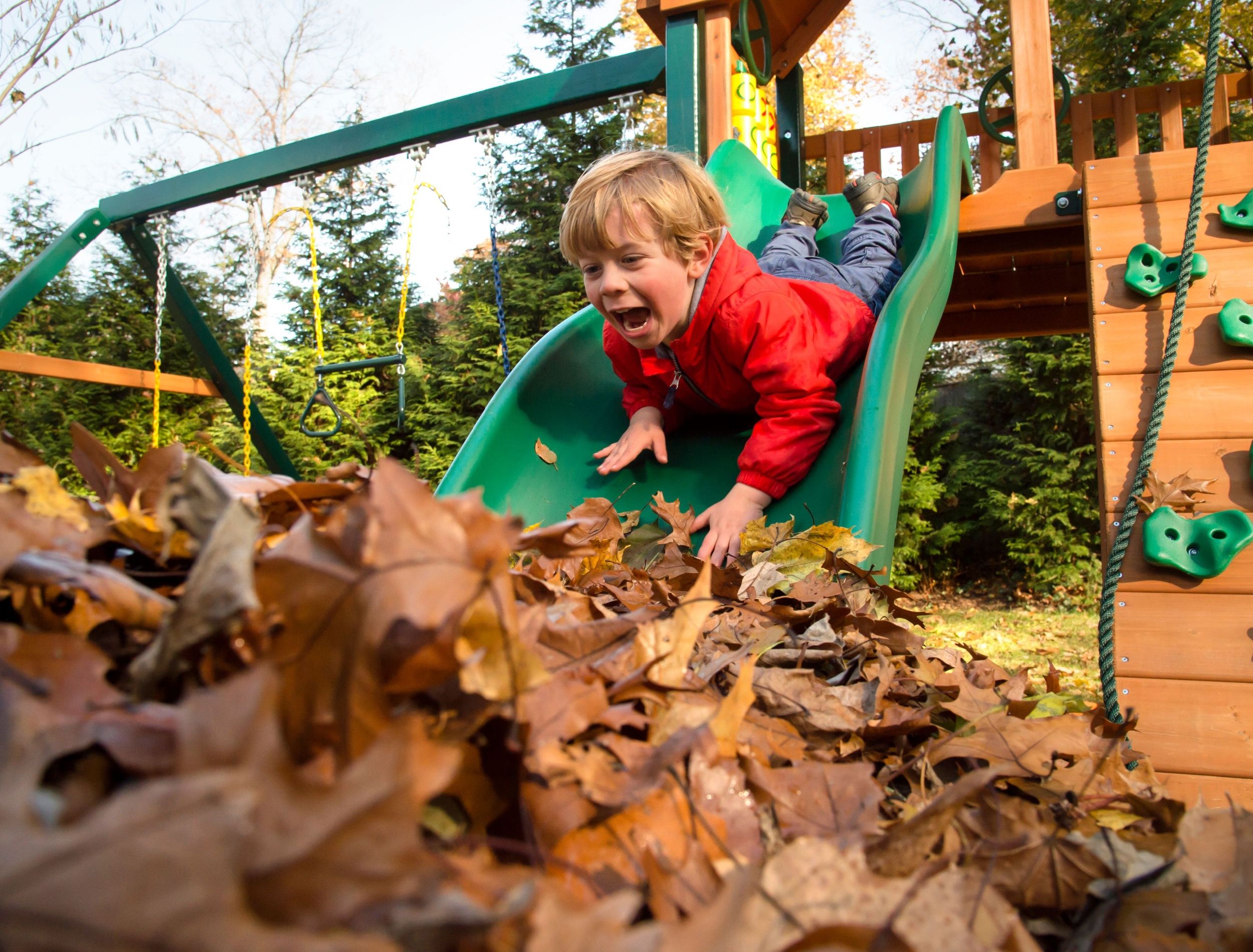 5 Best Plants To Grow in Your Fall Planters