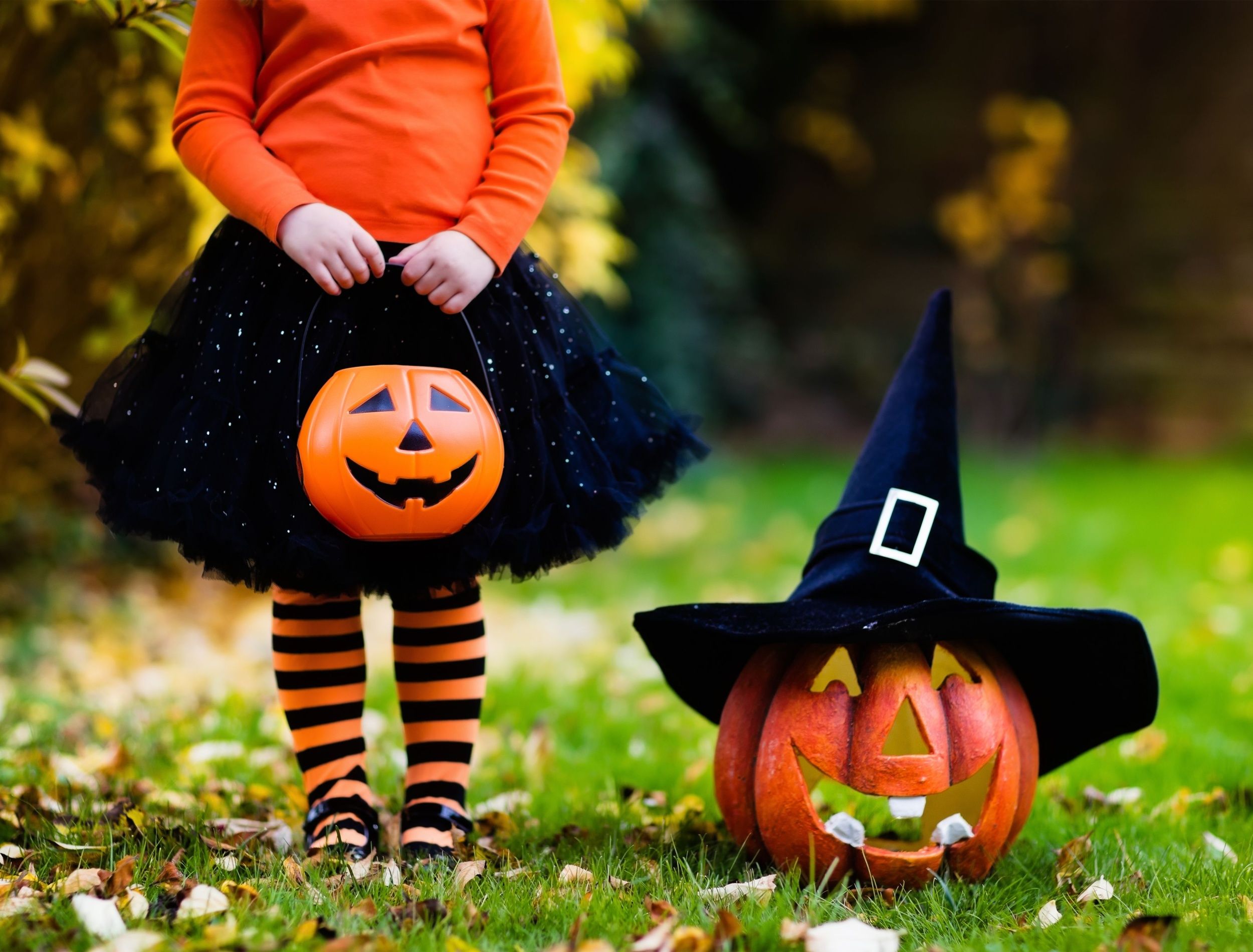 Use Plants as Inspiration for Your Halloween Costumes This Year