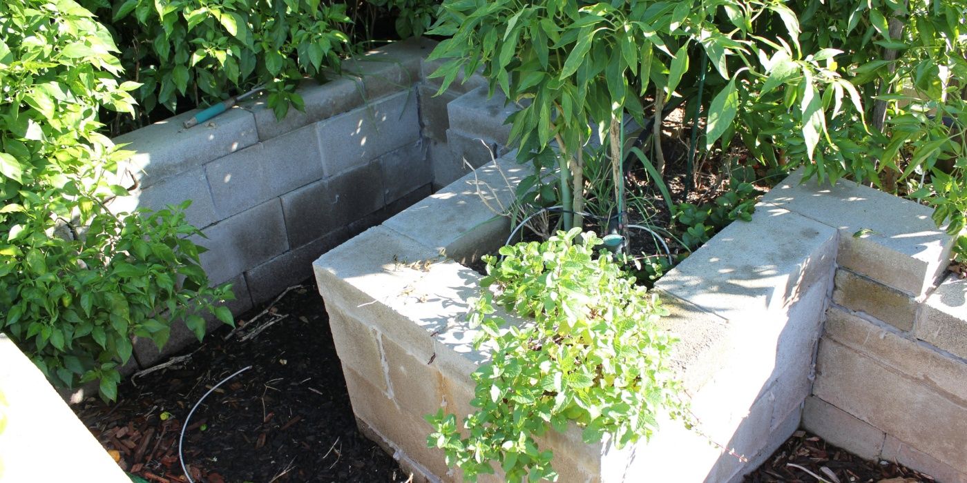 Concrete Block Raised Planter Ideas