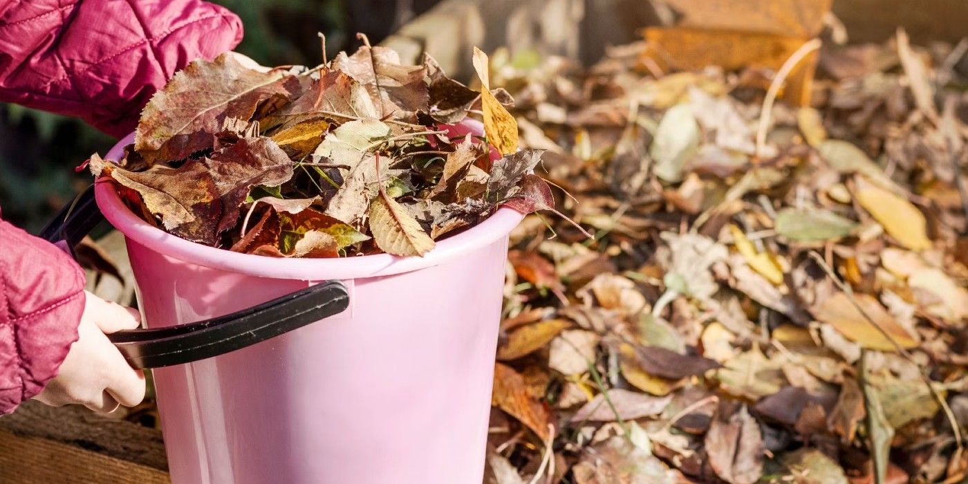 Transform Your Backyard With 5 Tips for a Sustainable Oasis