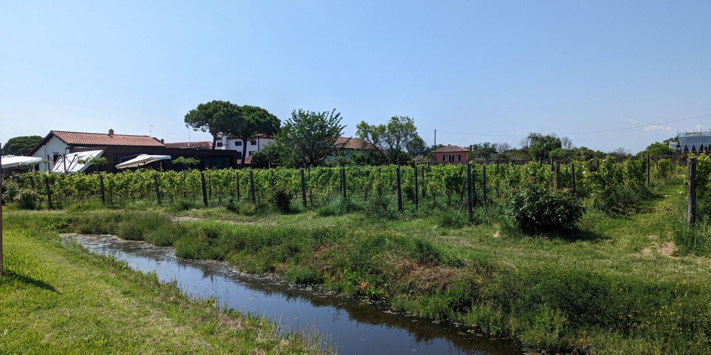 Using Irrigation Canals Sustainable Garden Irrigation: How To Create