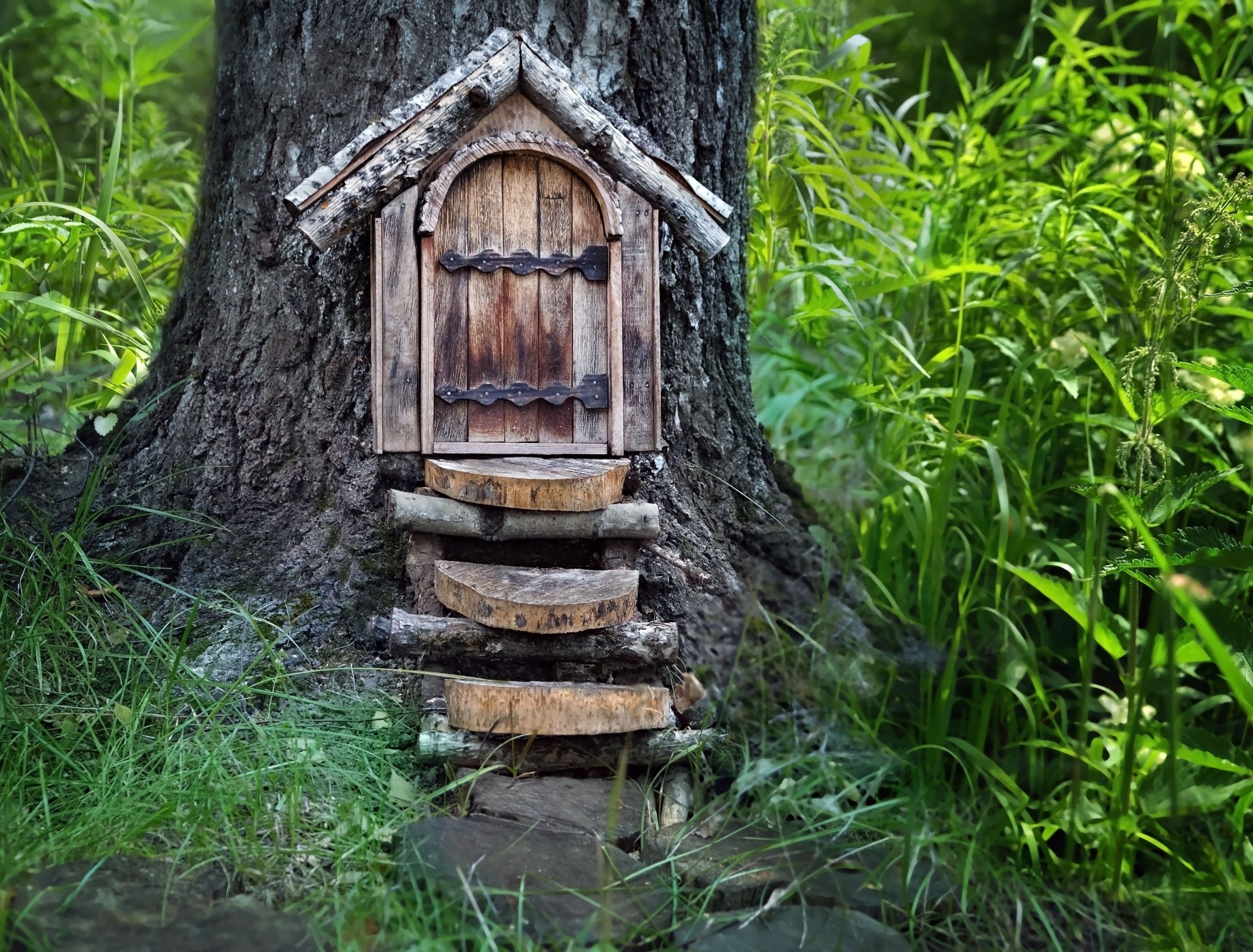 5 Tips For Caring For Your Rose Bushes in Fall