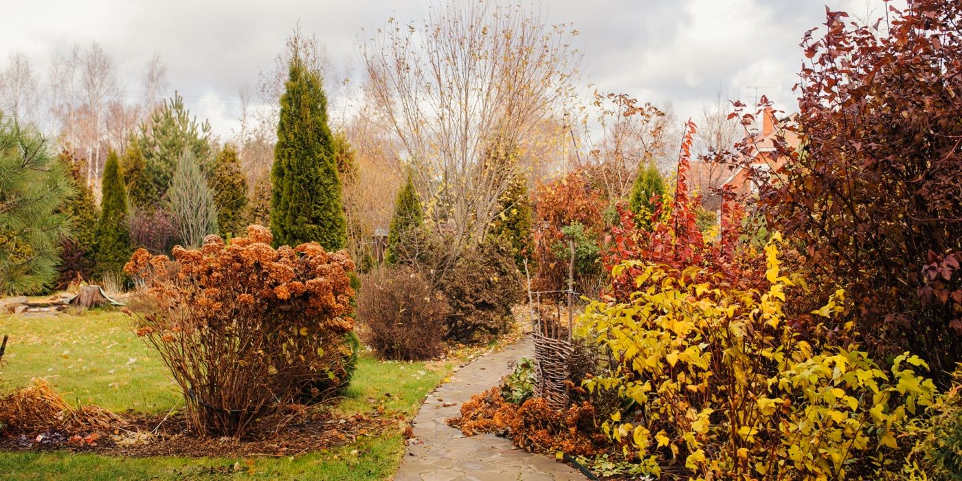 Beautiful Fall Yard Layouts
