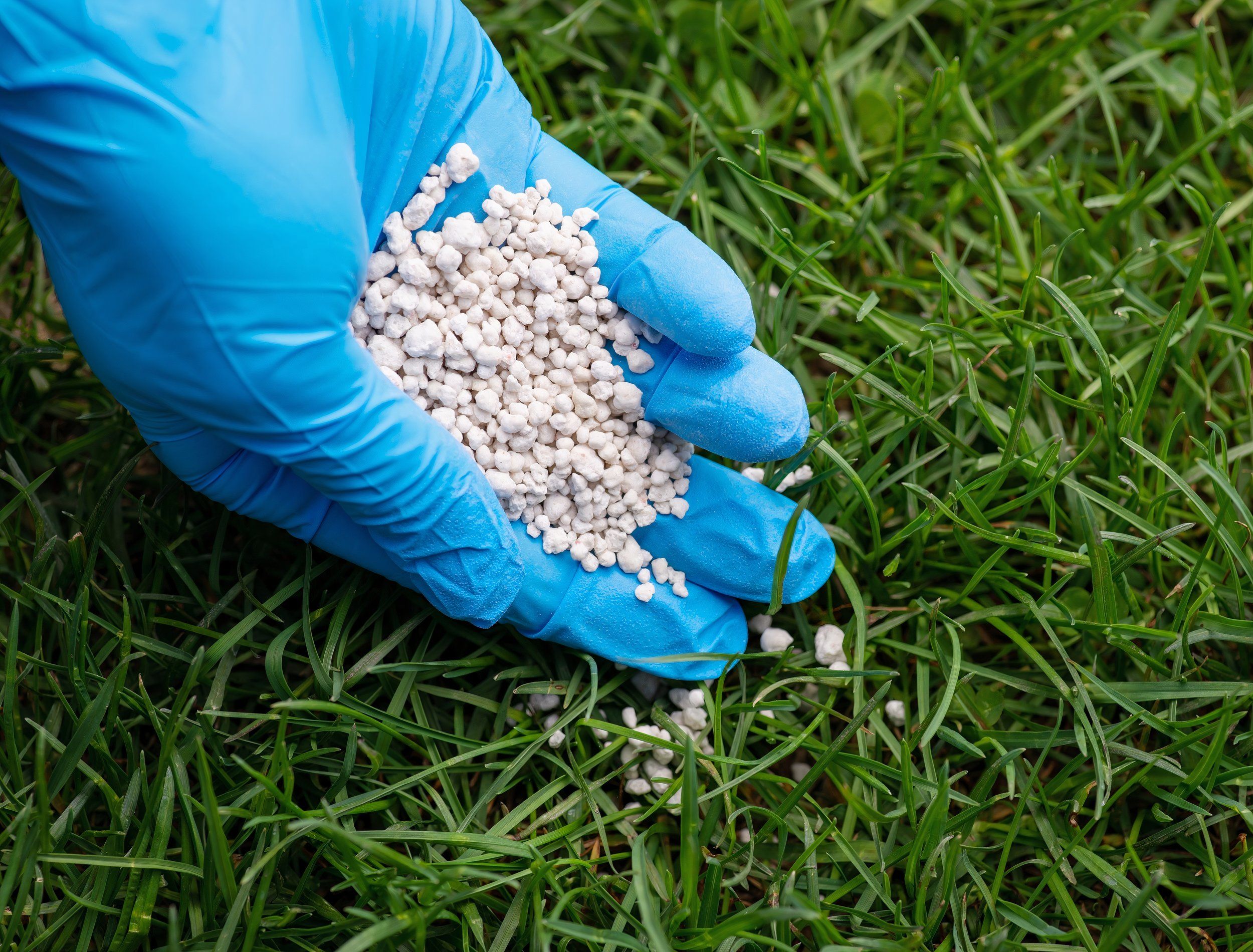 Expert Tips to Fertilize Your Fall Lawn Expert Tips to Fertilize Your Fall Lawn