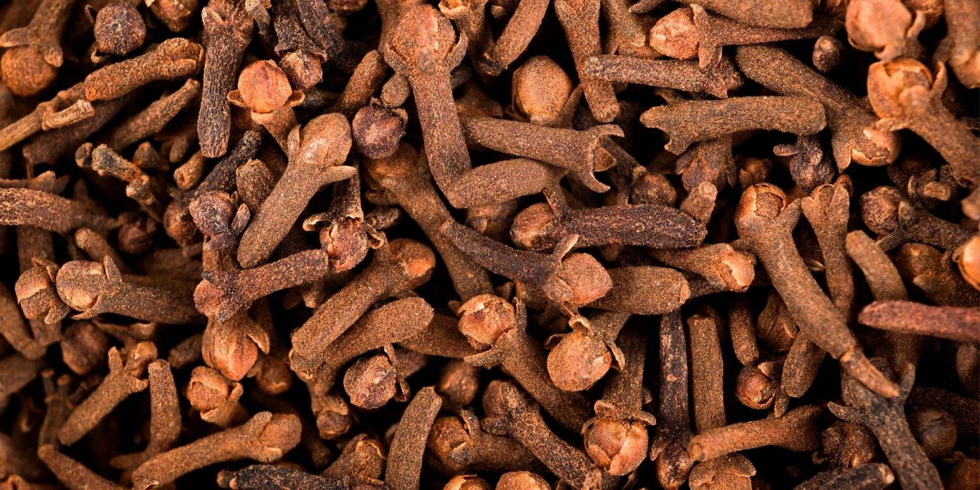 Cloves: History, Uses, and Health Benefits of This Powerful Spice