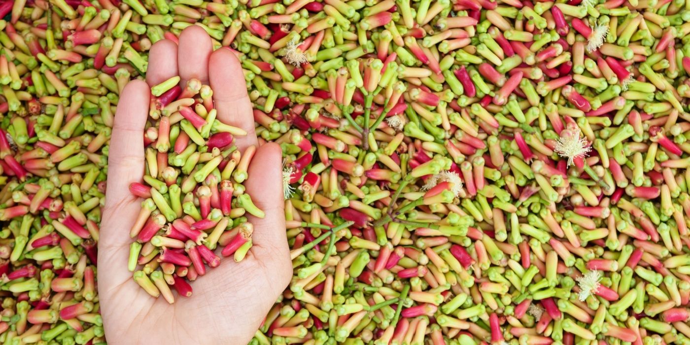 Cloves: History, Uses, and Health Benefits of This Powerful Spice