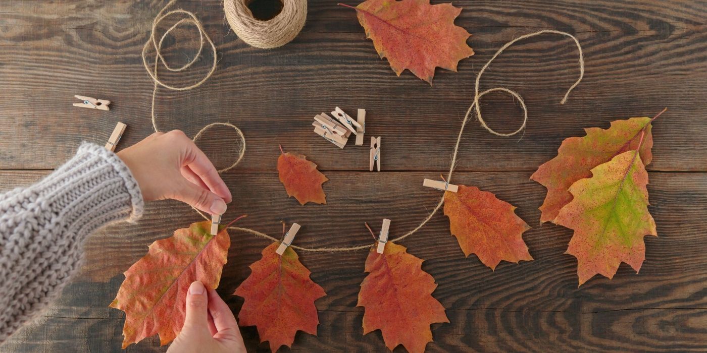How To Preserve Fall Leaves