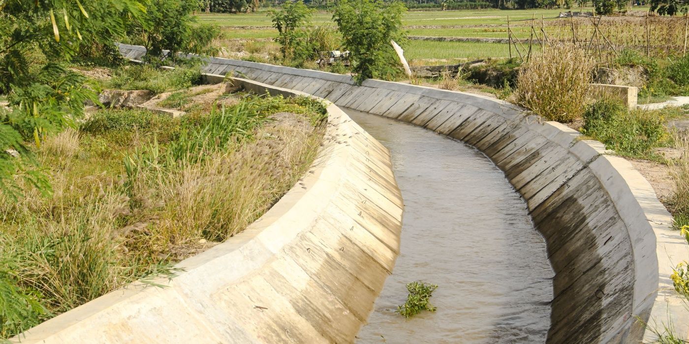 Sustainable Garden Irrigation: How to Create an Eco-Friendly Canal System