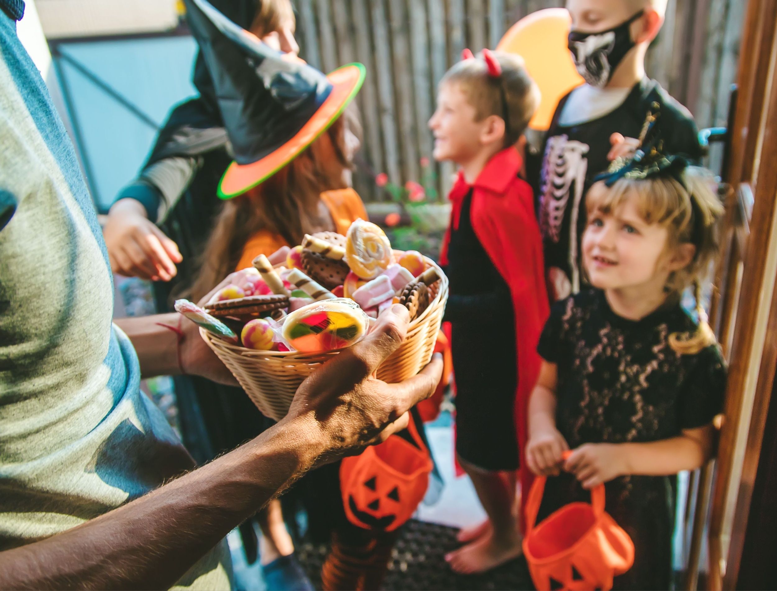 6 Benefits of Raised Vegetable Gardens