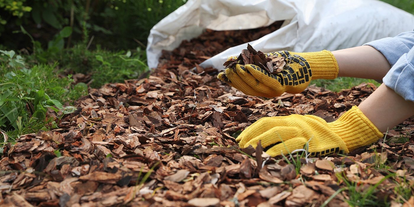 Organic Secrets for Soil Health: Preparing Your Garden This Fall