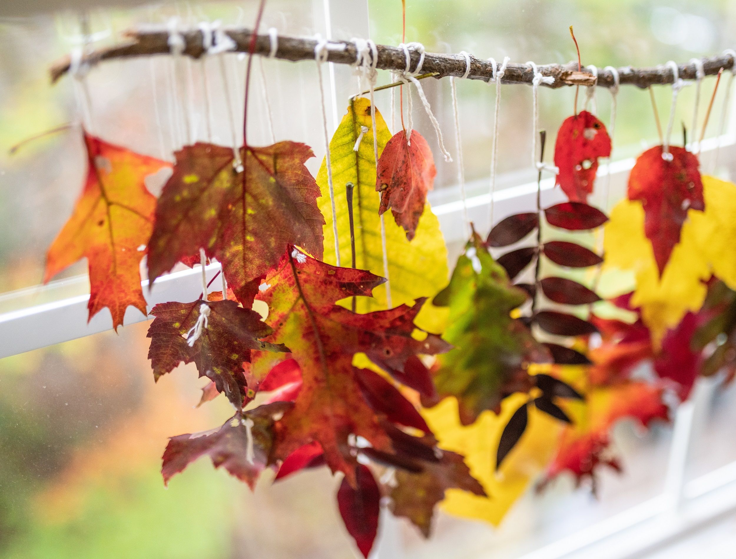 Update Your Deck For Summer Fun