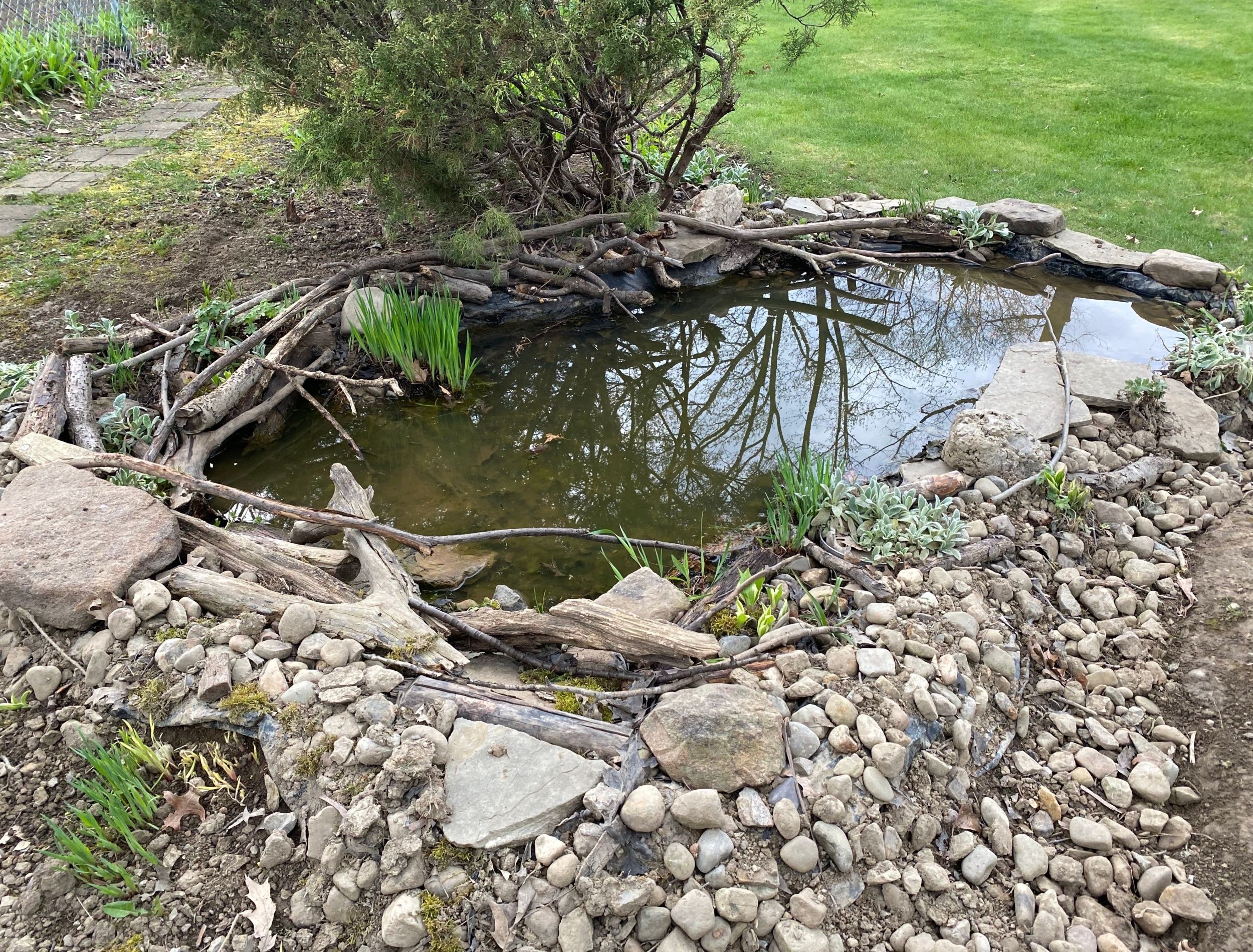 Landscaping Ideas: Create a Watering Hole for Fall Wildlife