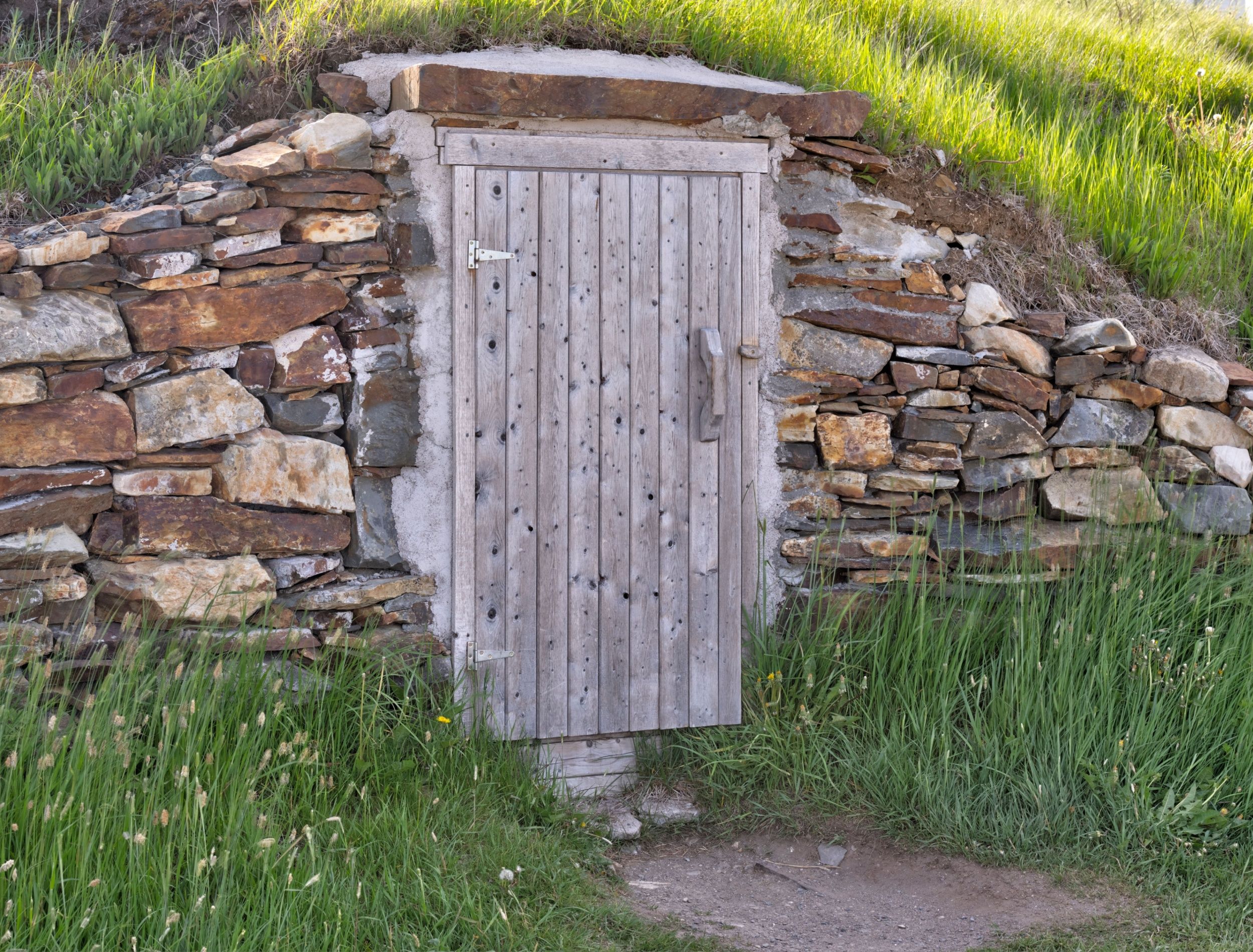 Step-by-Step Guide to Building a Root Cellar for Fresh Food Storage