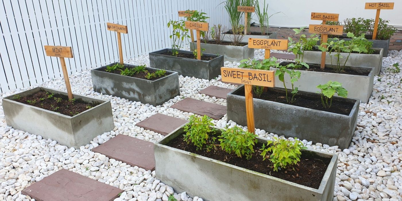 Garden Signage Explained: Essential Knowledge for Gardeners