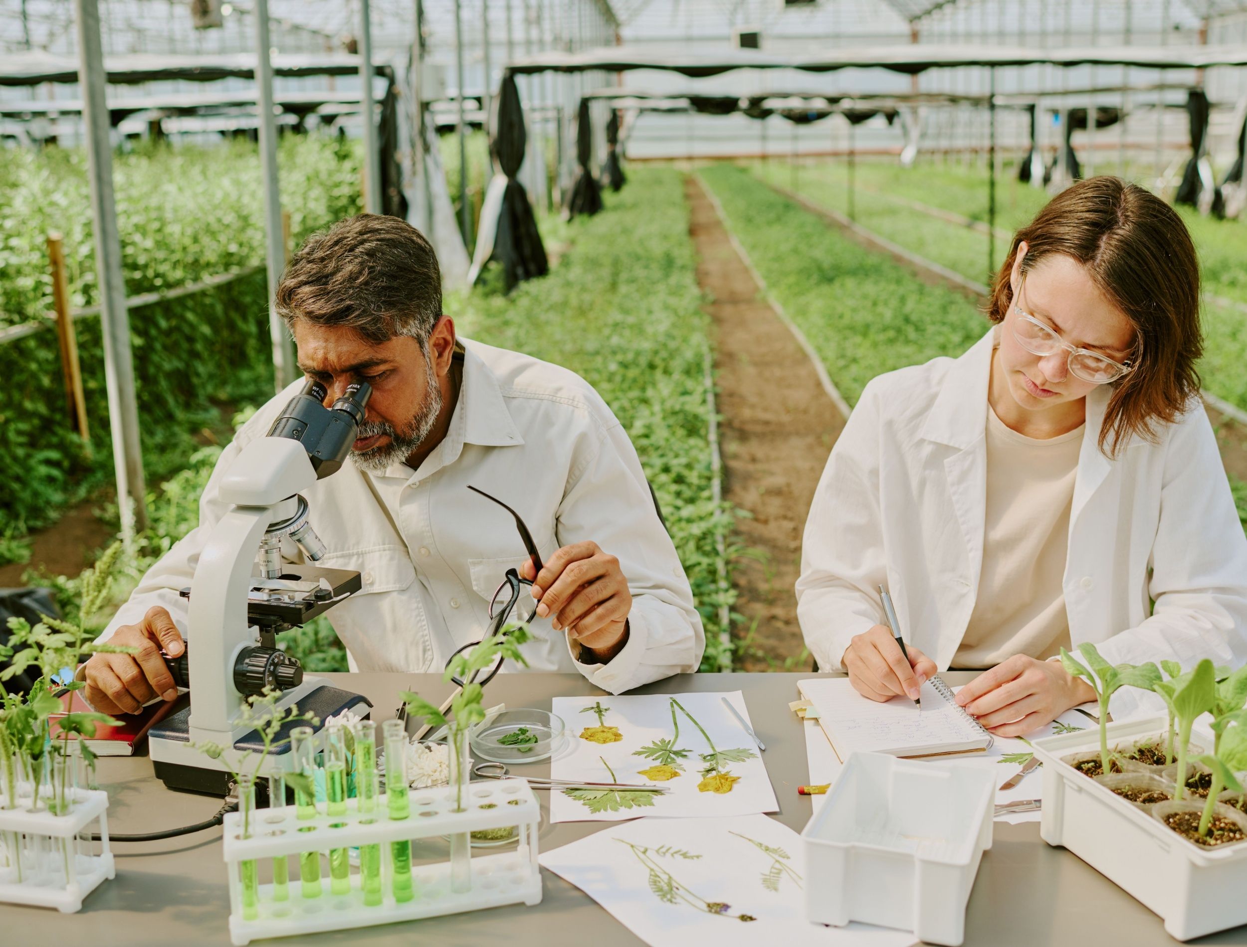 How to Shovel Snow: A Guide to Efficient & Safe Snow-Clearing