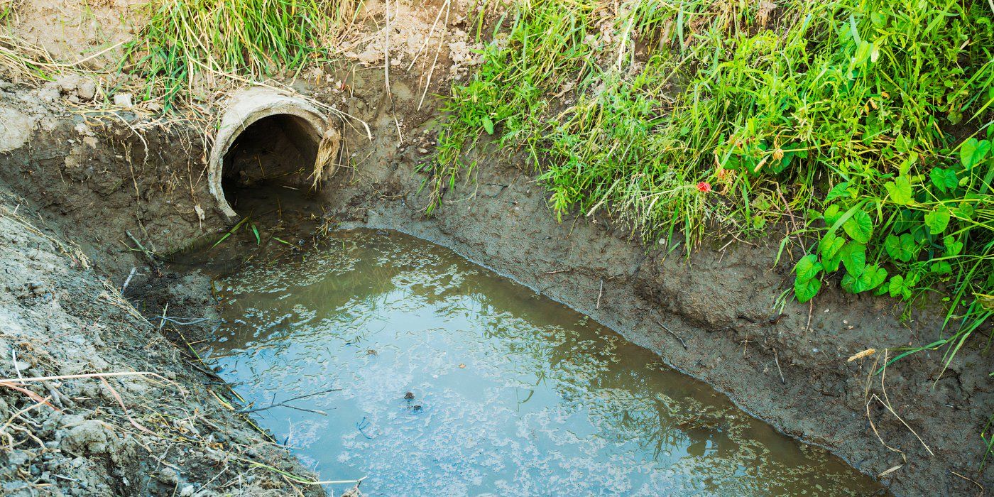 6 Tips To Transform a Drainage Ditch Into Colorful Landscaping ideas