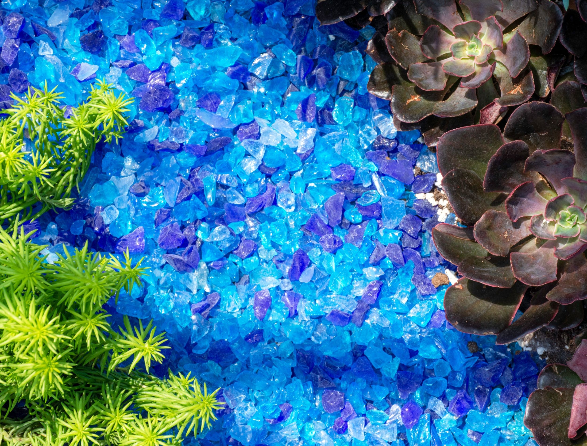 Growing Green: How Recycled Glass Could Replace Fertilizer in Your Garden