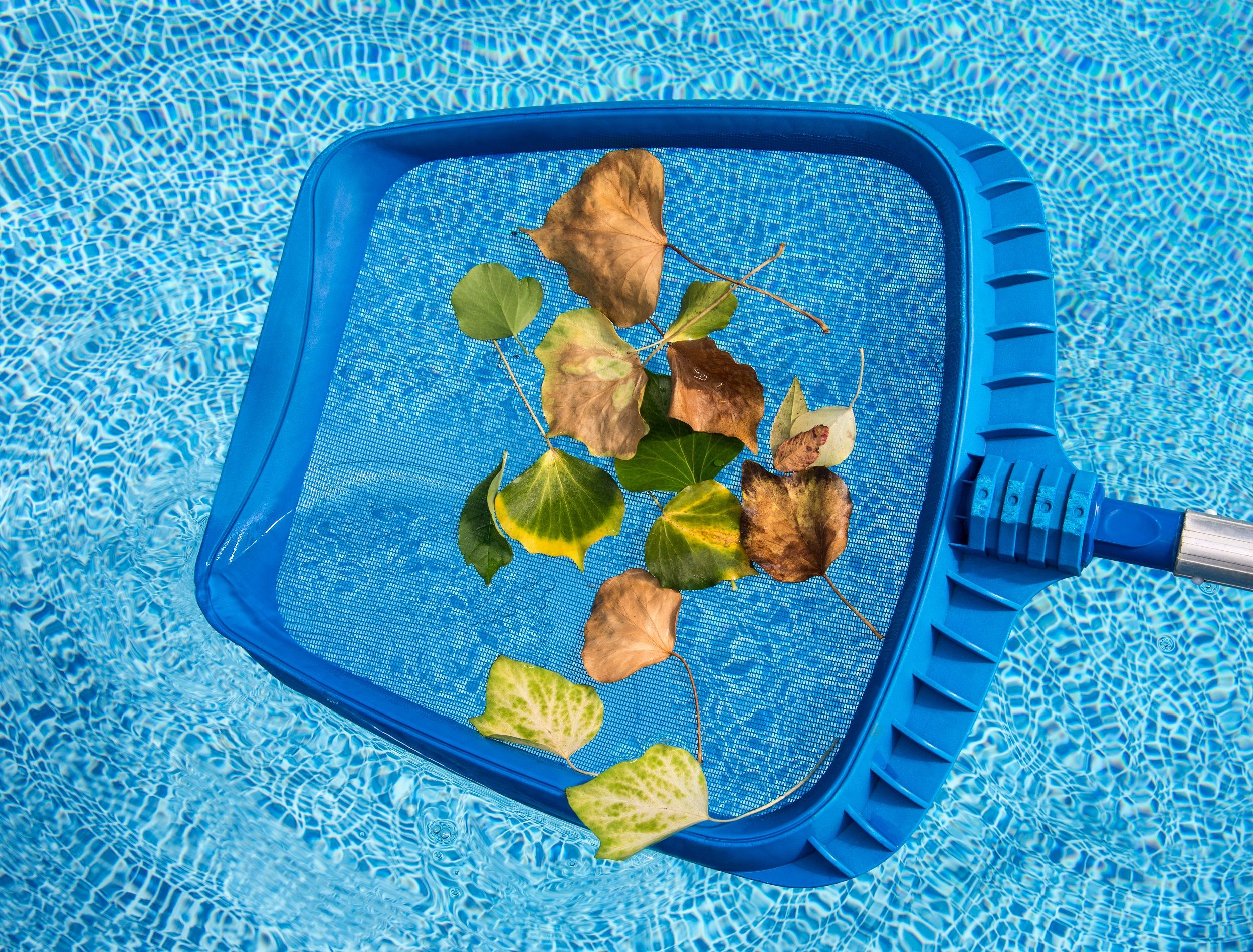 5 Of The Best Lawn Mowing Patterns