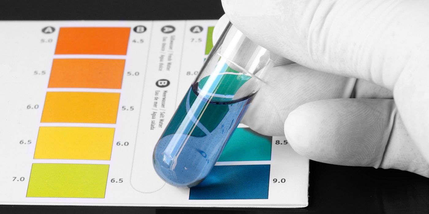 Baking Soda Is a Magic Elixir For Houseplants