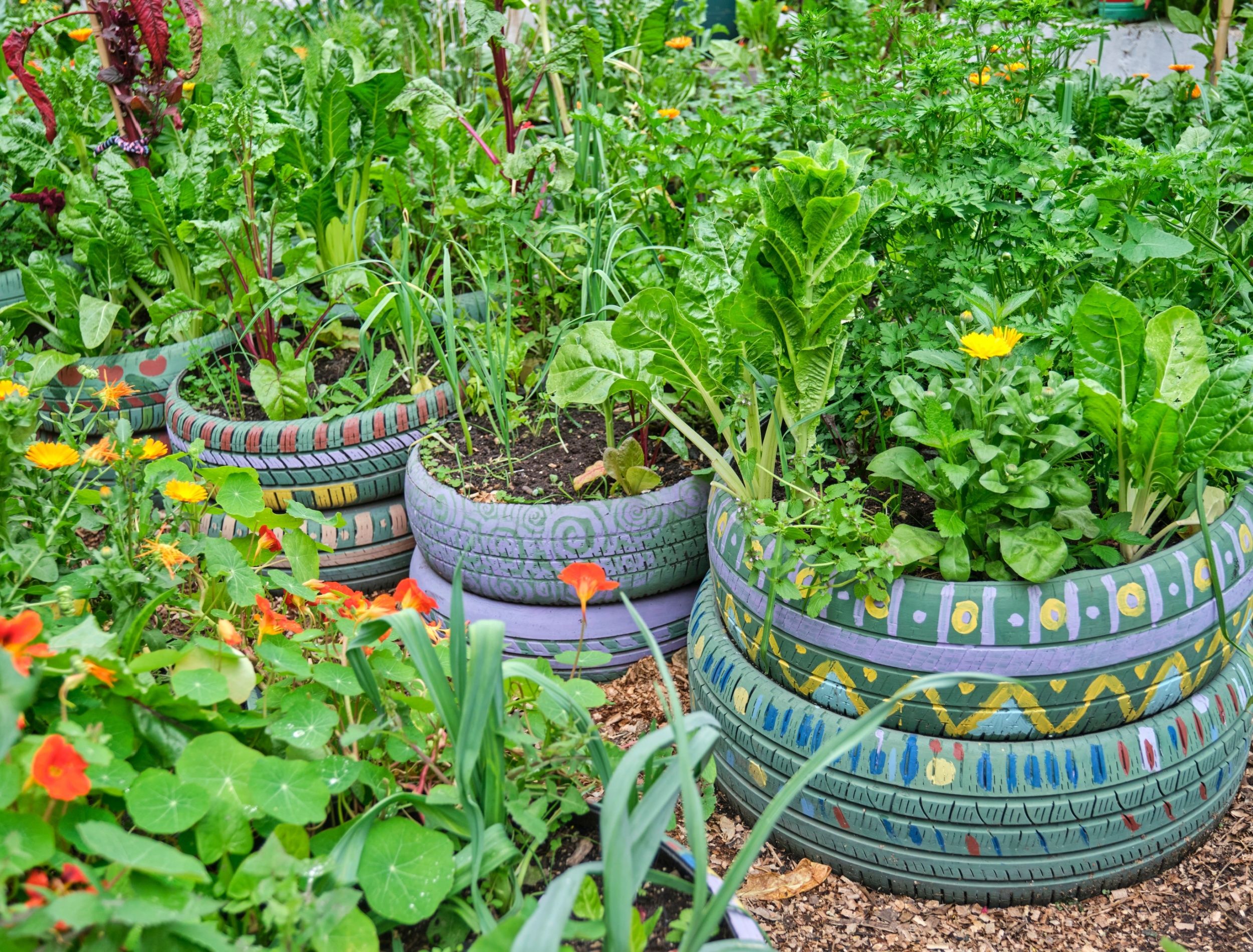 Recycled Container Vegetable Garden Ideas Creative Container Vegetable