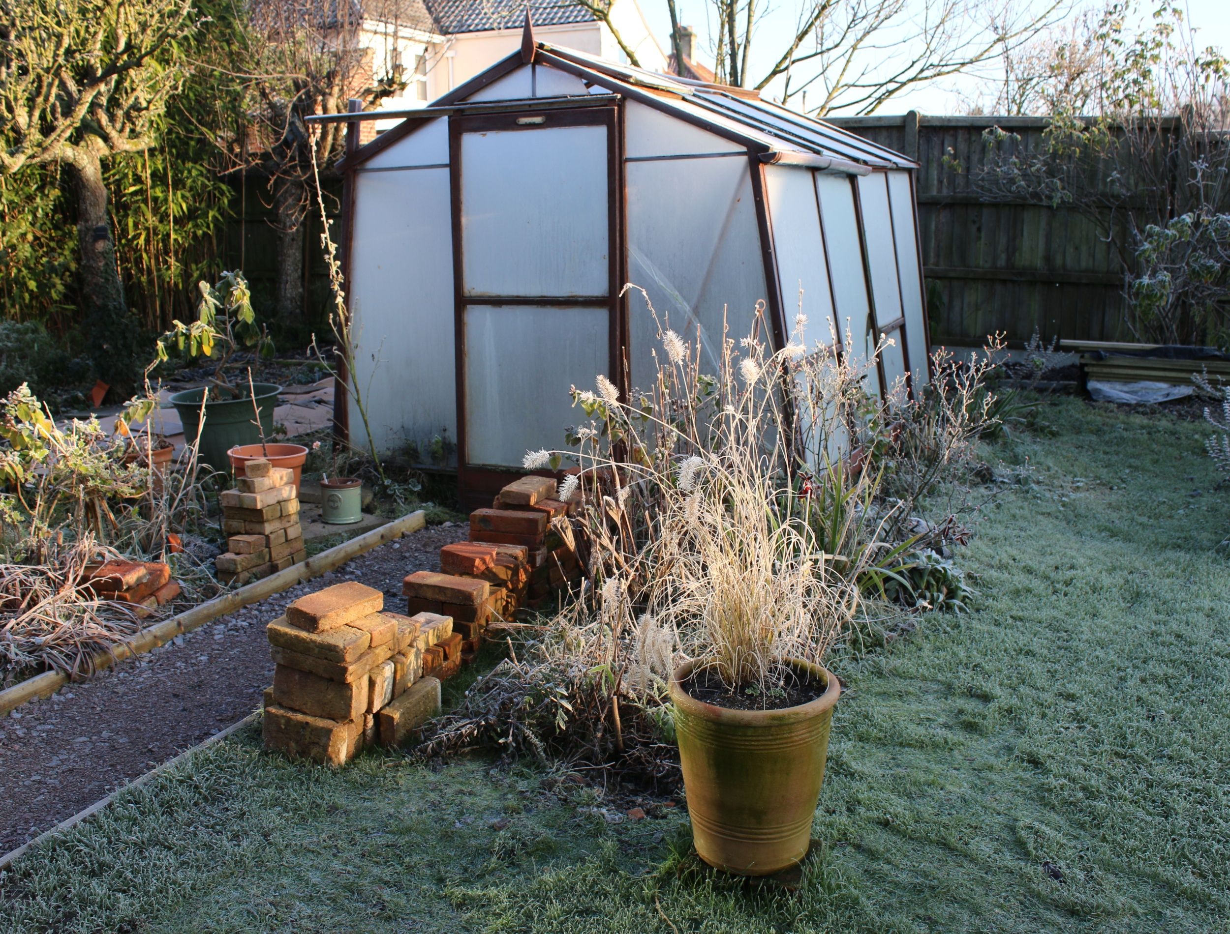Essential Tips to Winterize Your Greenhouse for Healthy Plants