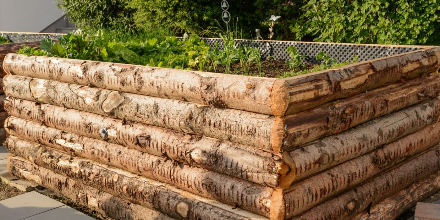 Budget-Friendly DIY Raised Garden Beds to Transform Your Space