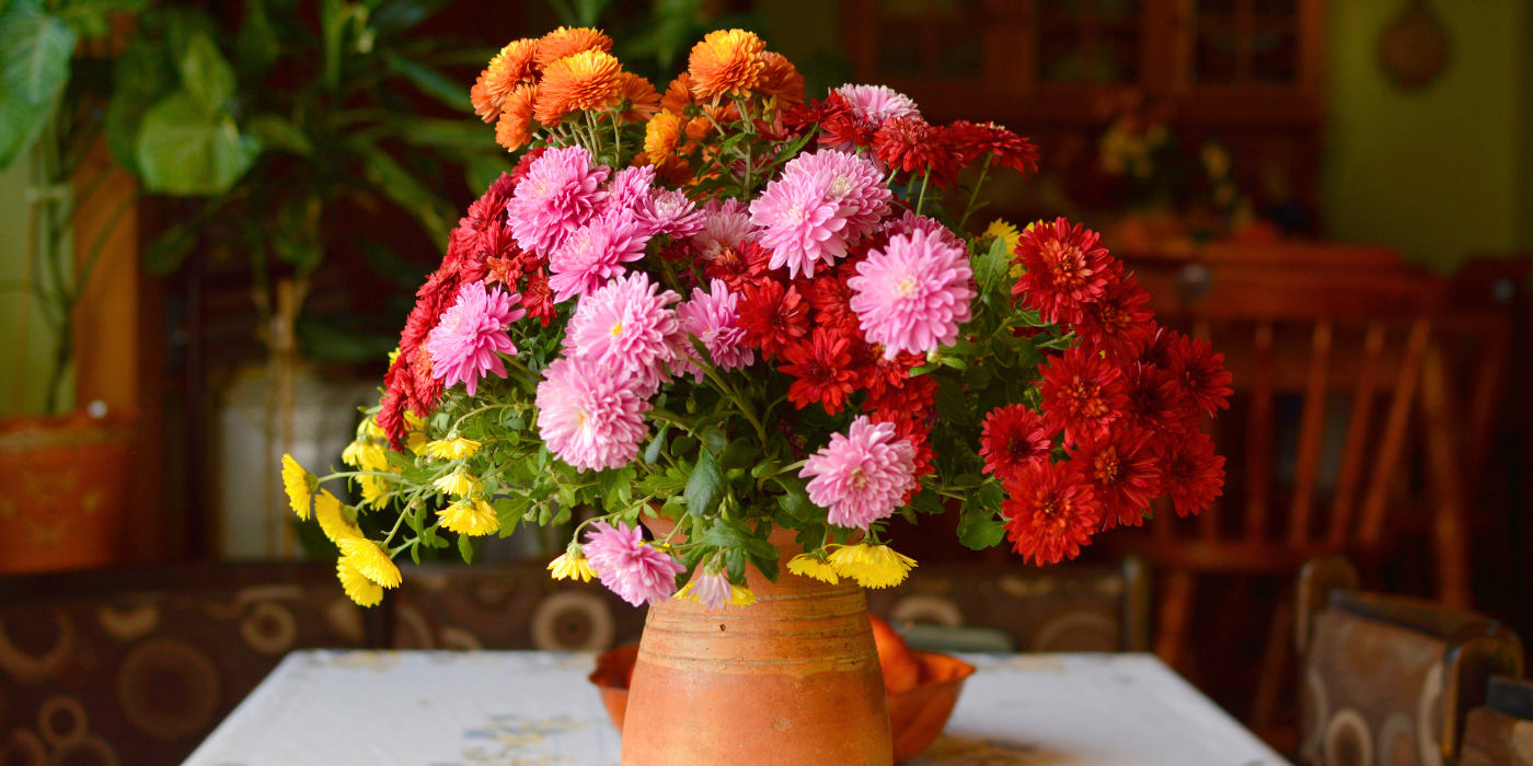 Two Special Flowers That Represent Those Born in November