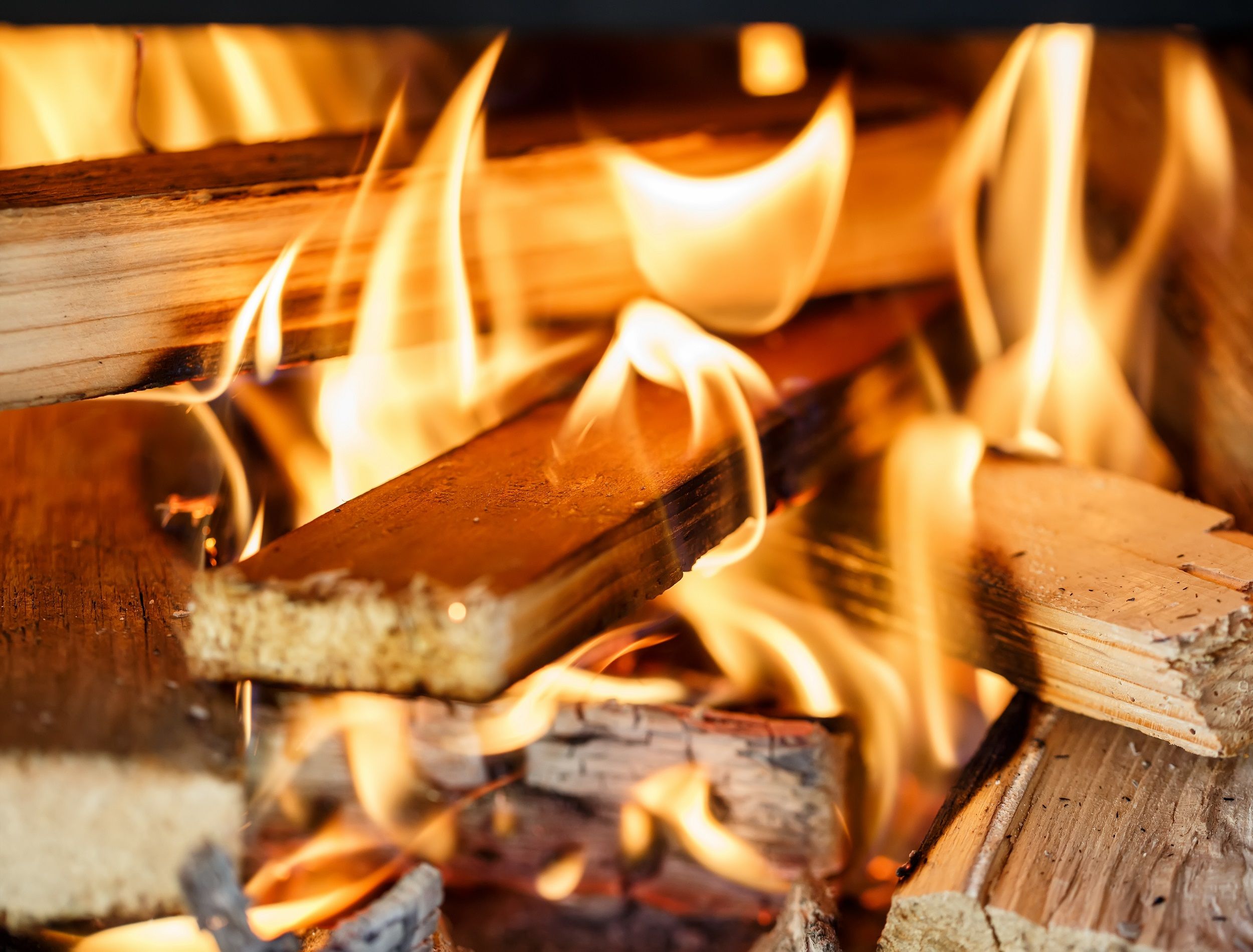 Is Elm a Good Fireplace Wood?